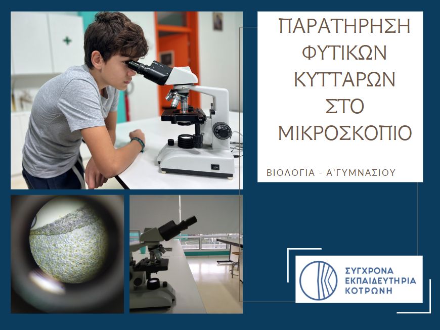 Παρατήρηση Φυτικών Κυττάρων στο μικροσκόπιο - Σύγχρονα Εκπαιδευτήρια ...
