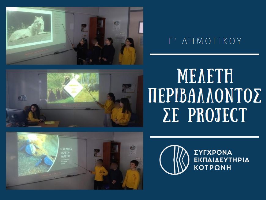 Μελέτη Περιβάλλοντος σε Project - Σύγχρονα Εκπαιδευτήρια Κοτρώνη