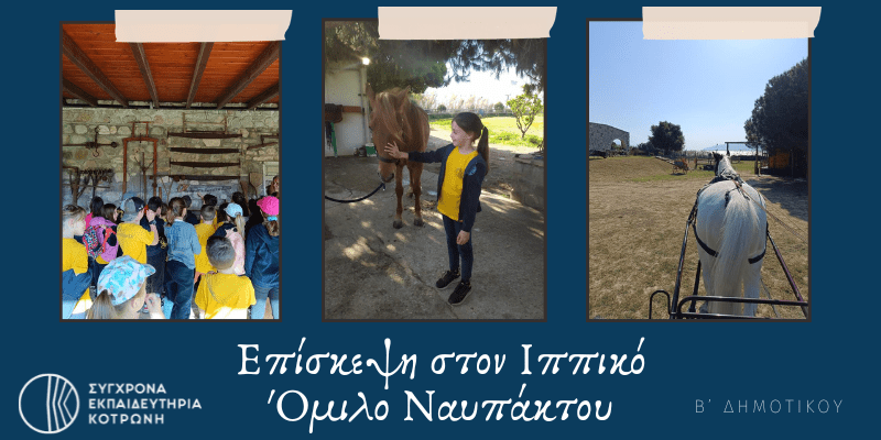 Επίσκεψη στον Ιππικό Όμιλο Ναυπάκτου - Σύγχρονα Εκπαιδευτήρια Κοτρώνη